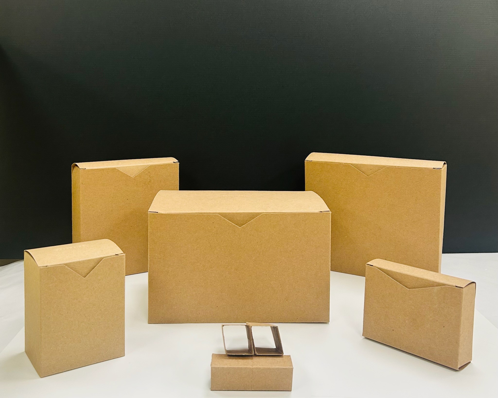 Pic31225insta – Color Carton Corporation